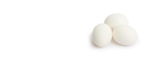 Katalyst Solutions Group | Environmental & Project Consultants